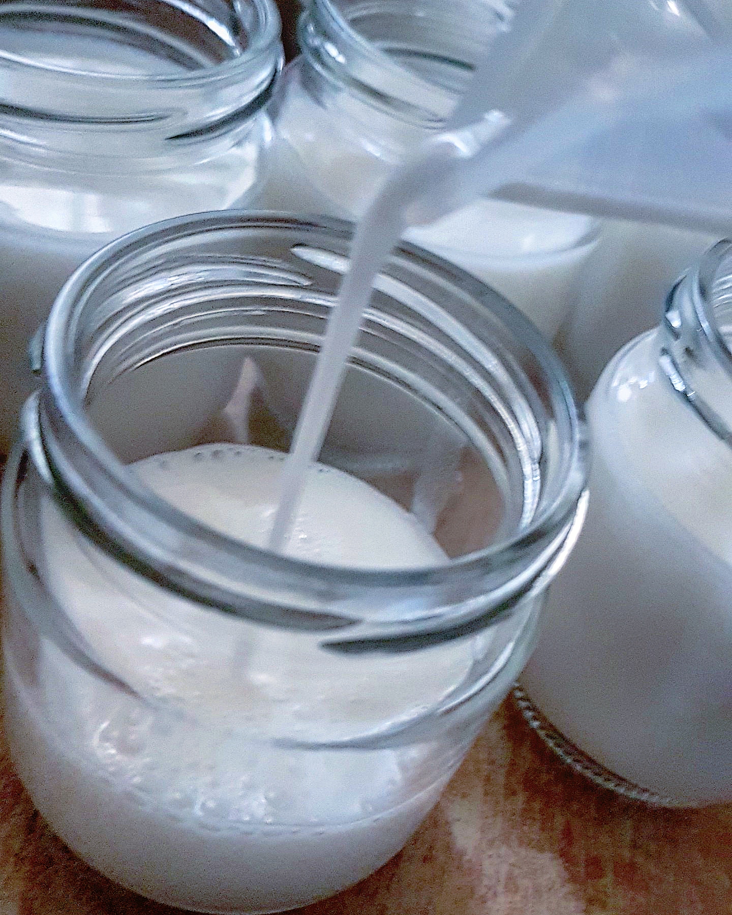 Yaourts nature au lait de soja {avec yaourtière} - VegetaL_SmeL